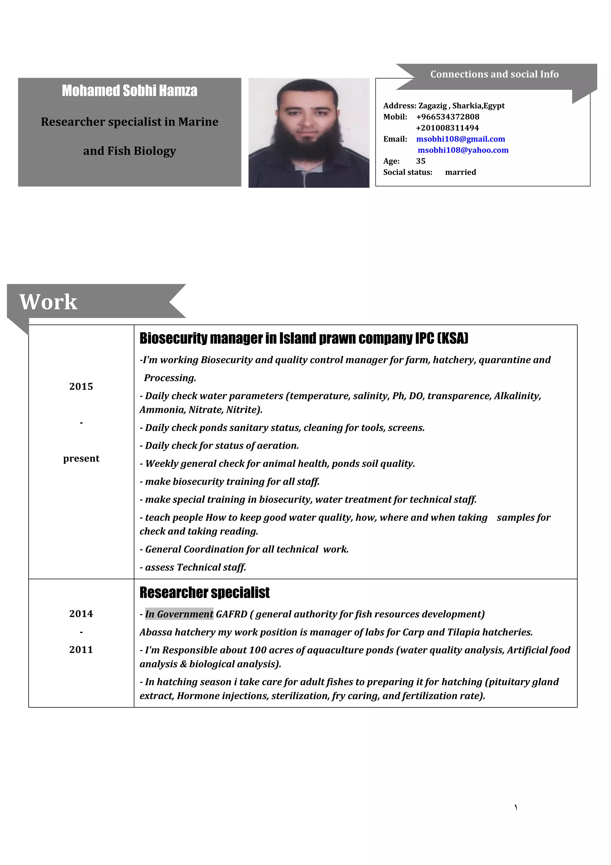 Mohamed hamza cv | PDF