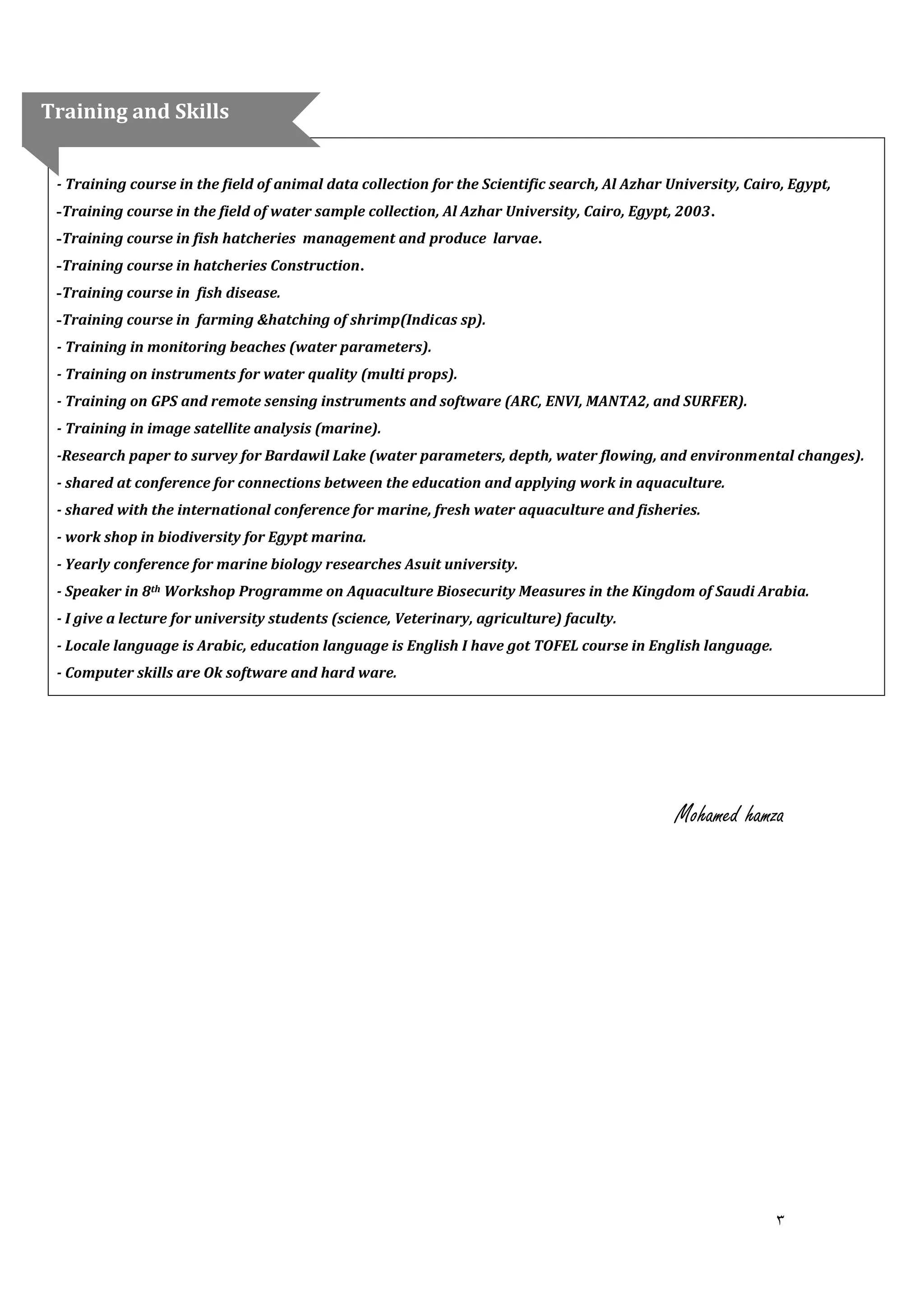 Mohamed hamza cv | PDF