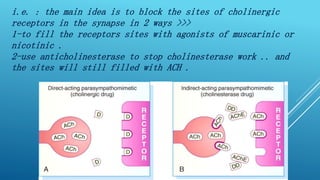 cholinergic receptors | PPTX | Brain and Nervous System Disorders ...