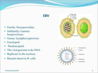 Management of PTLD | PDF