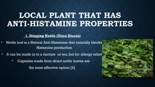 "Comprehensive Review of Anti-Histamines: Mechanisms, Applications, and ...