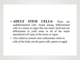 Stem cell introduction By; Dr. Mohamed Salem | PPT