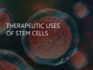 Stem cell introduction By; Dr. Mohamed Salem | PPTX