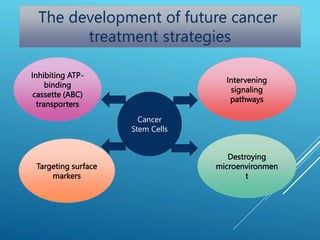 Stem cell introduction By; Dr. Mohamed Salem | PPT