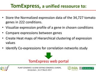 A Unified Expression Platform That Makes Tomato Suitable Model For ...