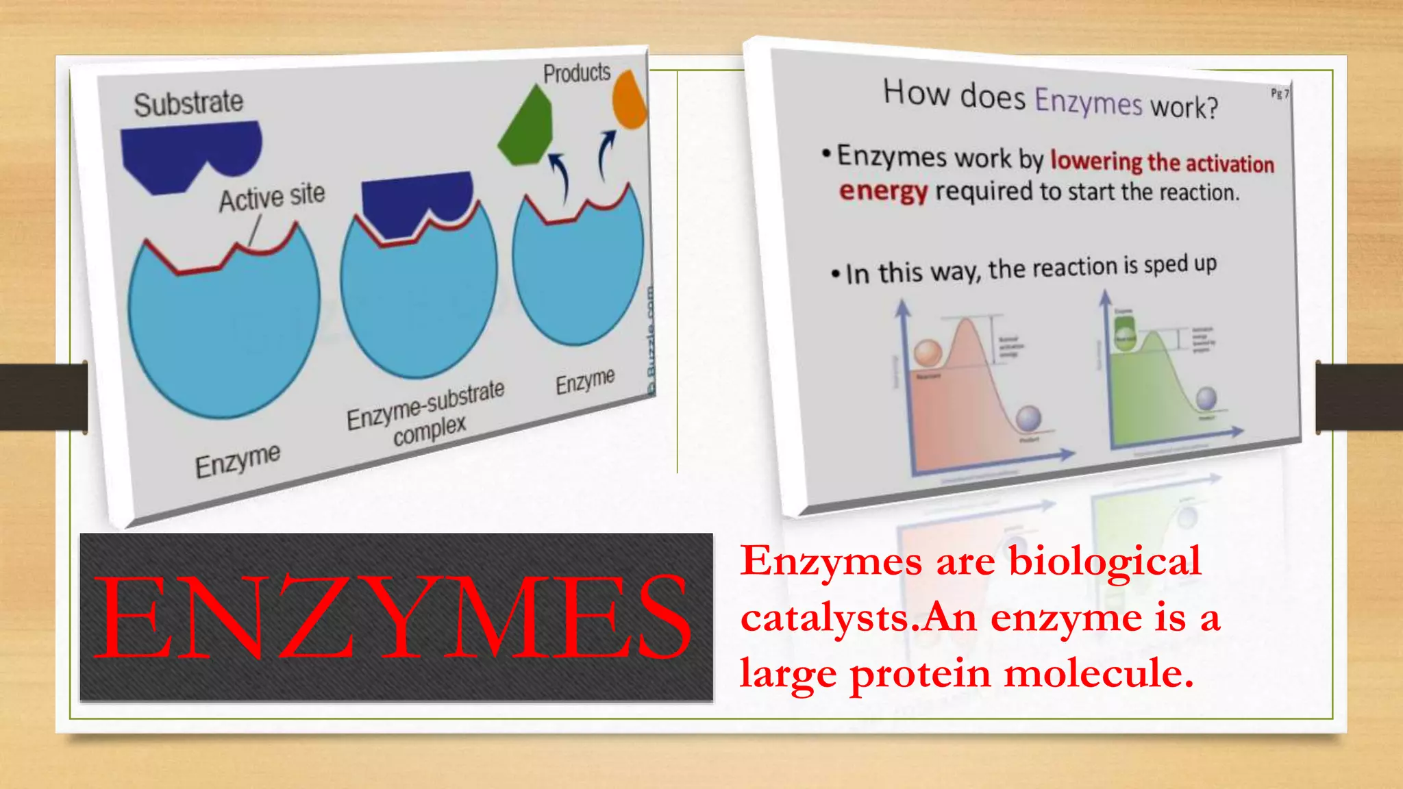 Catalysts/Enzymes/biological catalysts/what are catalysts/what are ...