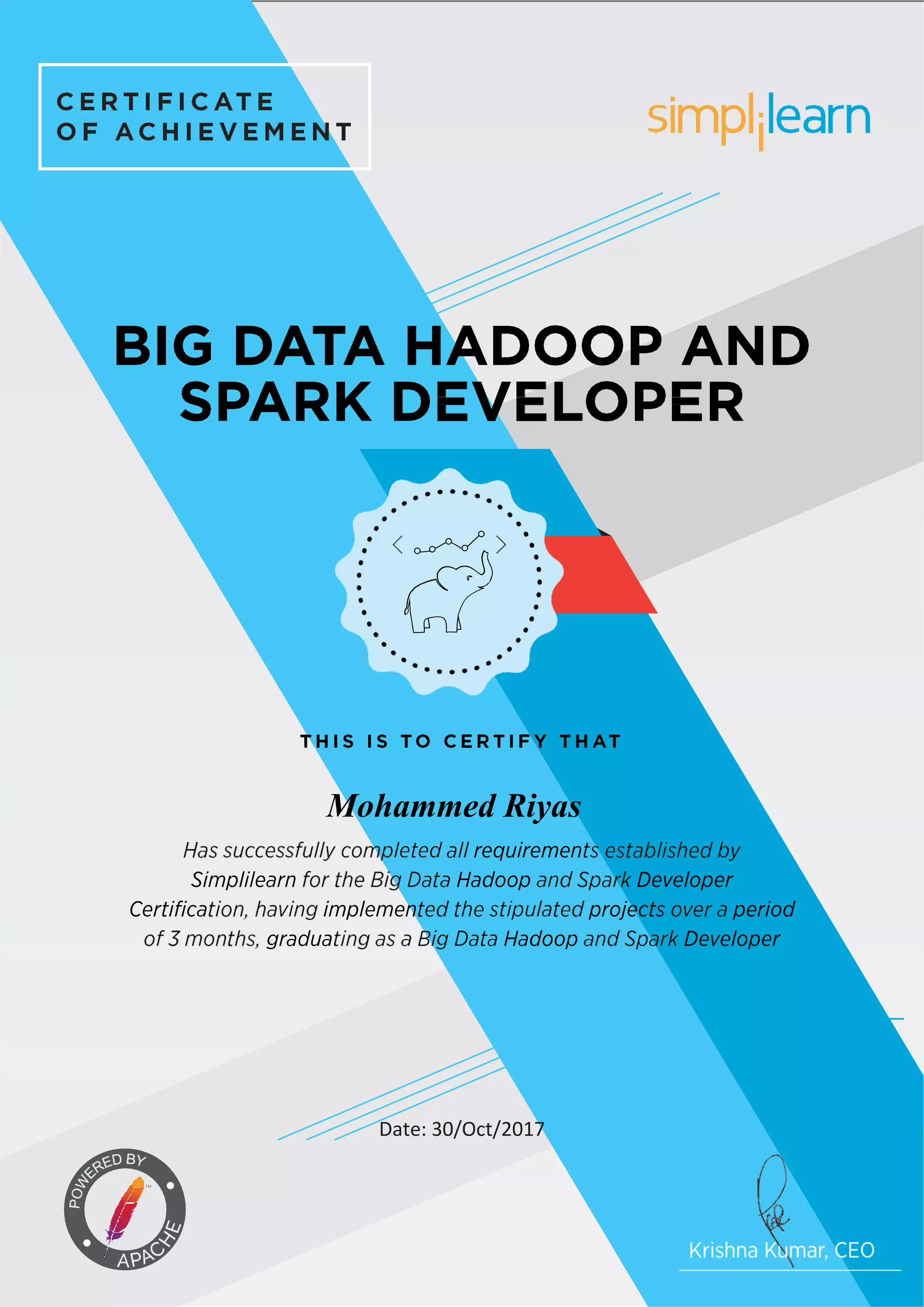 Mohammed Riyas - Big Data Hadoop and Spark Developer | PDF