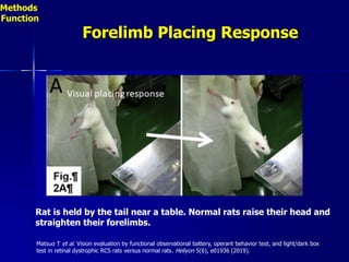 Traumatic Brain Injury and Hypoxia Produces Long-term Visual Deficits ...
