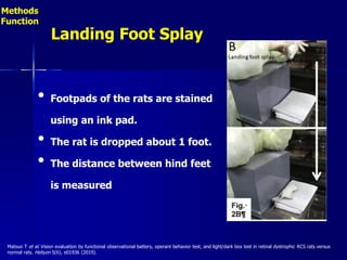 Traumatic Brain Injury and Hypoxia Produces Long-term Visual Deficits ...
