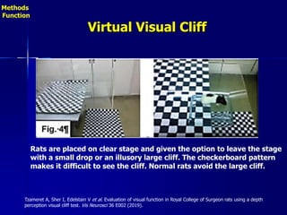Traumatic Brain Injury and Hypoxia Produces Long-term Visual Deficits ...