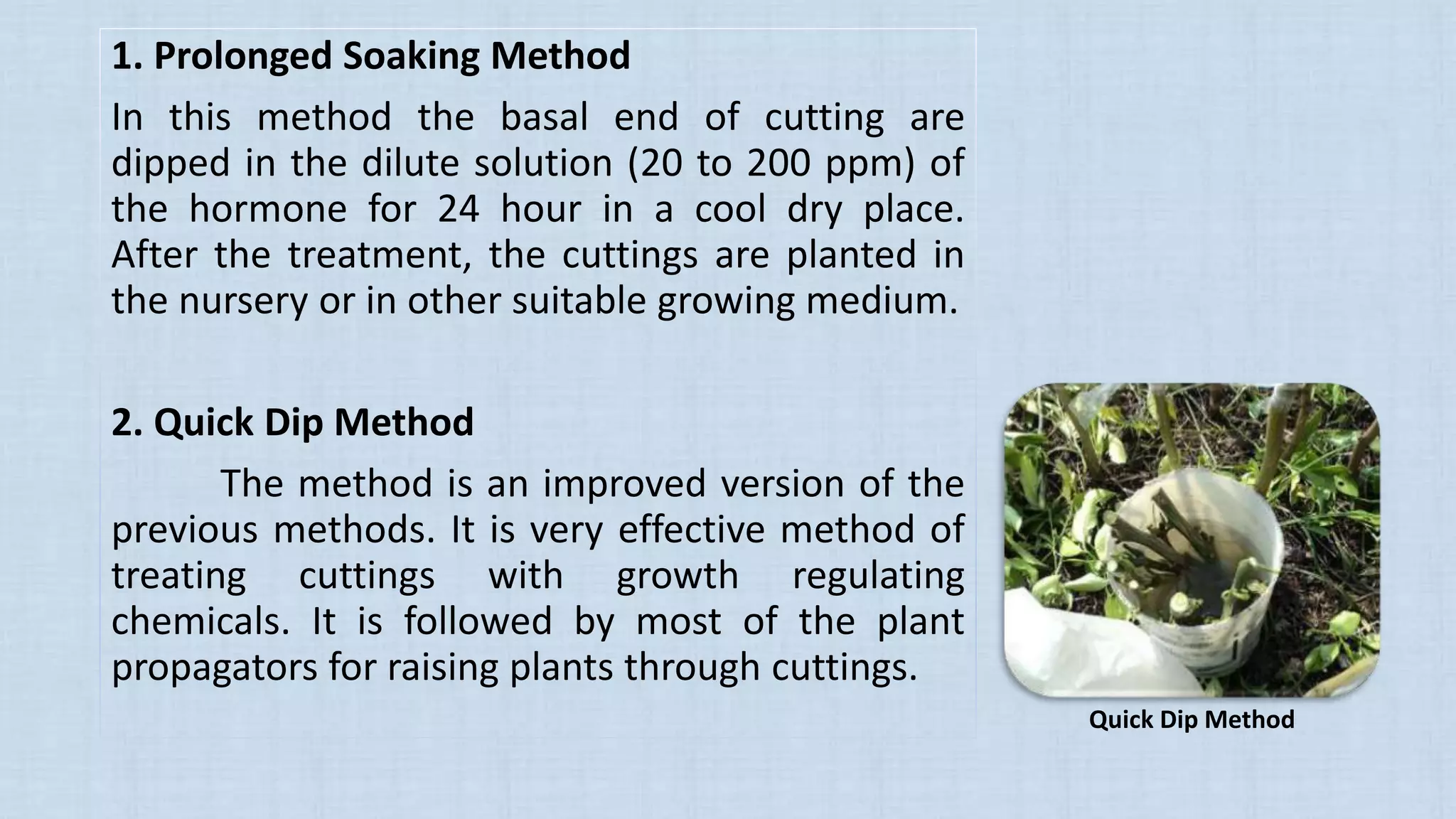 ROUTINE NURSERY PRACTICES | PPTX