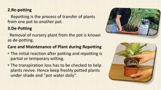 ROUTINE NURSERY PRACTICES | PPTX