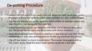 ROUTINE NURSERY PRACTICES | PPTX