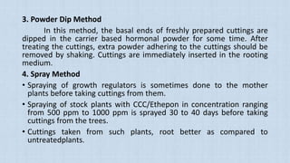 ROUTINE NURSERY PRACTICES | PPTX