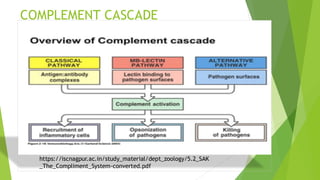 Complement system of activation and regulations | PDF