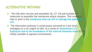 Complement system of activation and regulations | PDF
