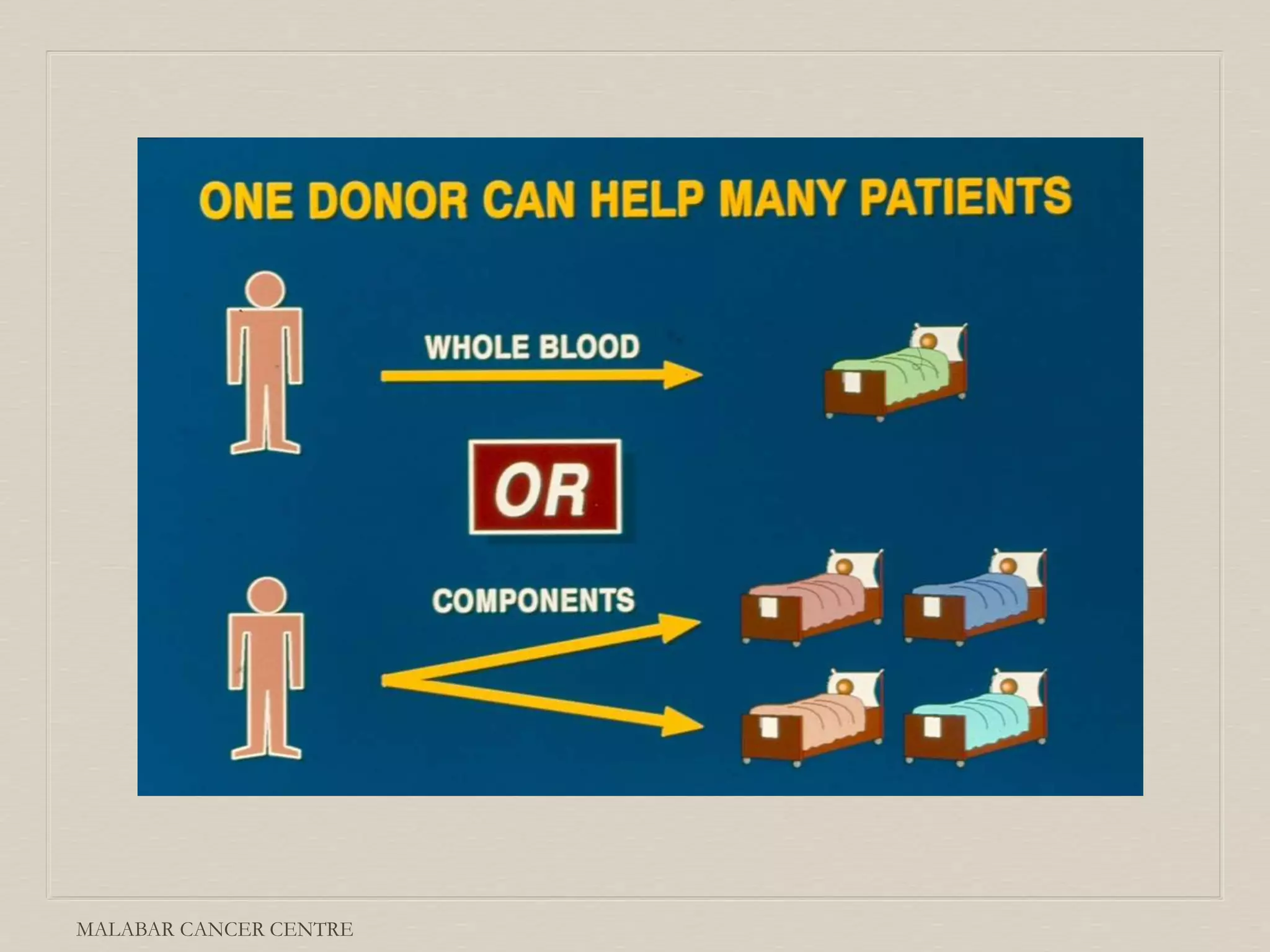 Buffy Coat Method of Component Preparation | PPTX
