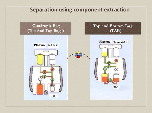 Buffy Coat Method of Component Preparation | PPTX