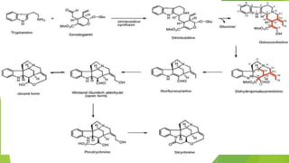 Strychnine PPT.pptx | Chemistry | Science