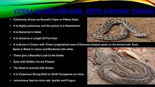 MOHANRAJ CHORDATA VENAM SNAKES | PPTX