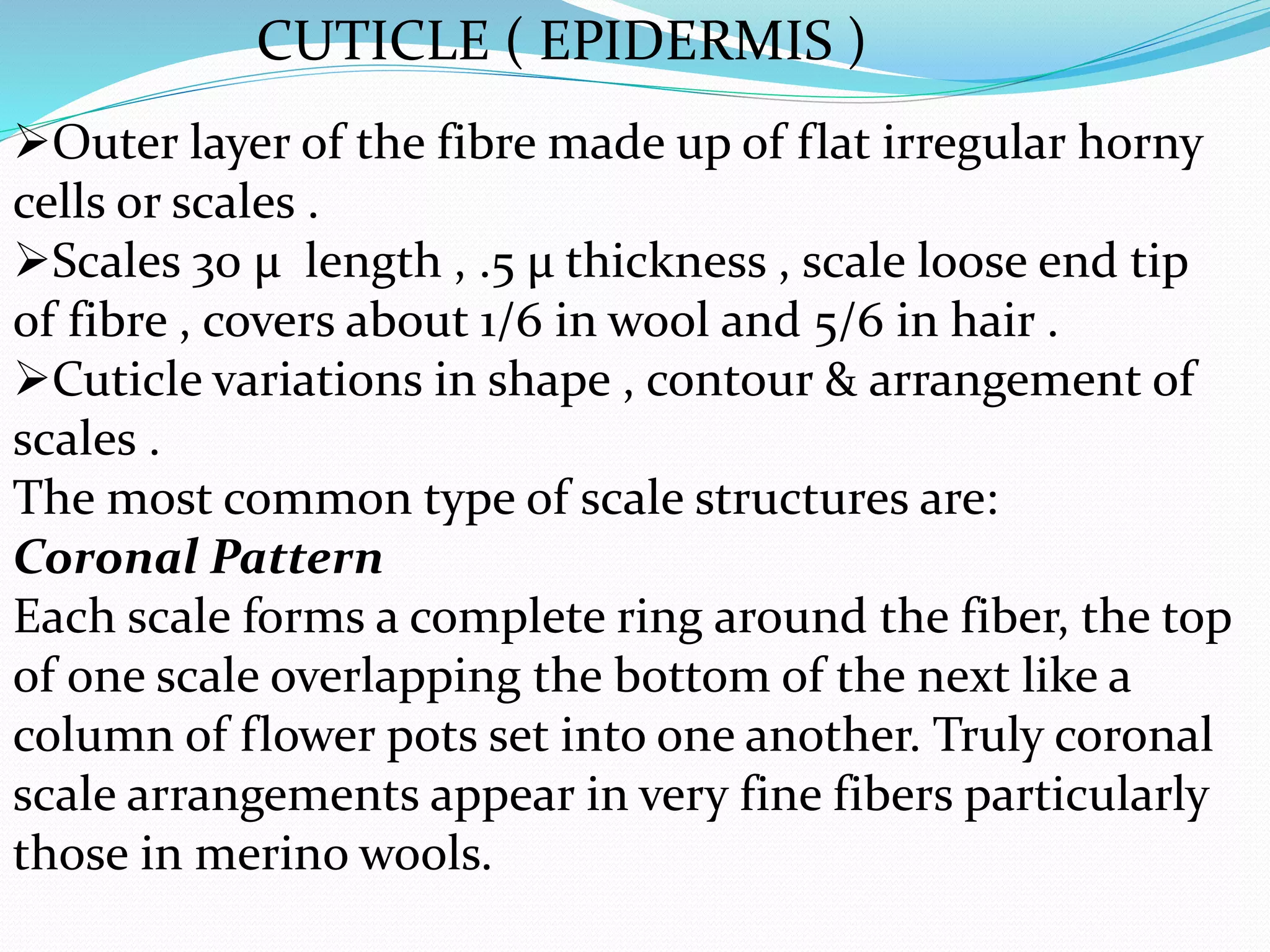 MORPHOLOGY OF WOOL FIBRE | PPTX