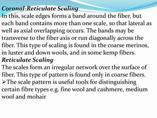 MORPHOLOGY OF WOOL FIBRE | PPTX