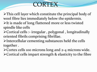 MORPHOLOGY OF WOOL FIBRE | PPTX | Biological Sciences | Science