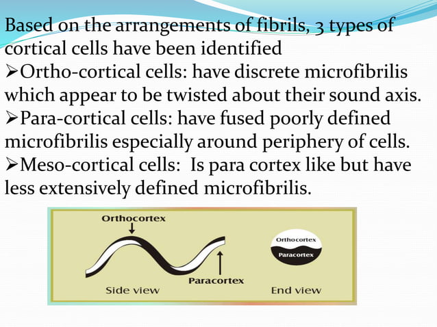 MORPHOLOGY OF WOOL FIBRE | PPTX | Biological Sciences | Science