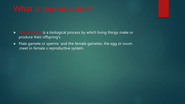 REPRODUCTION | PPT