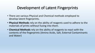 Development of Latent Fingerprints | PPTX