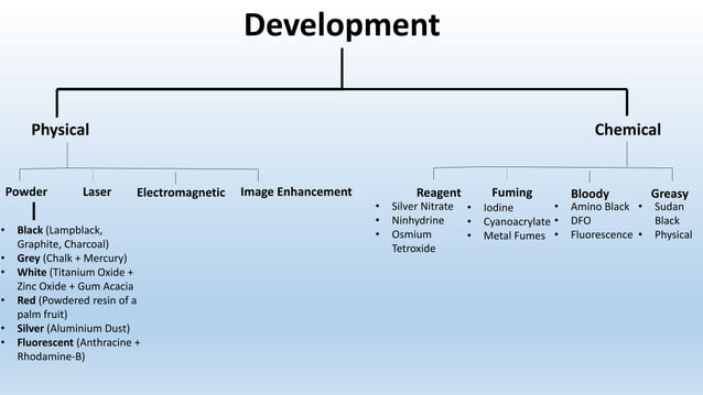 Development of Latent Fingerprints | PPTX | Skin Care | Beauty