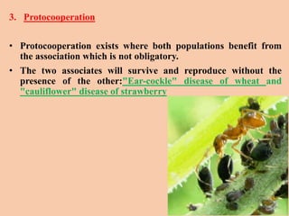 Nematode bacterial infection | PPTX