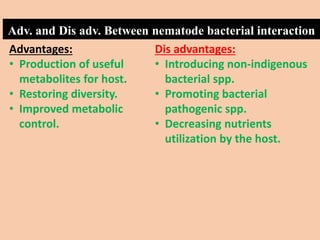 Nematode bacterial infection | PPTX