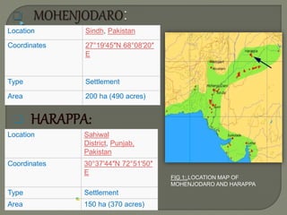 Mohenjodaro the famous ancient city for Town Planning | PPTX