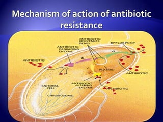 anti microbial resistances challenges and solutions | PPTX