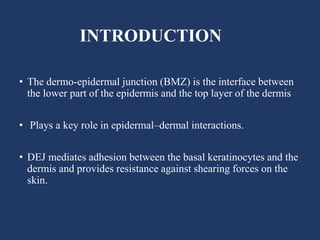 Dermo-epidermal junction and Desmogleins | PPTX