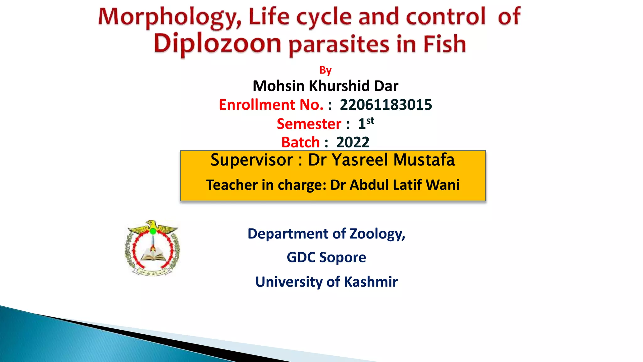 Diplozoon ppt by Mohsin Khurshid | PPTX