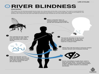 Merck and river blindness by Mohsin Mustafa | PPTX