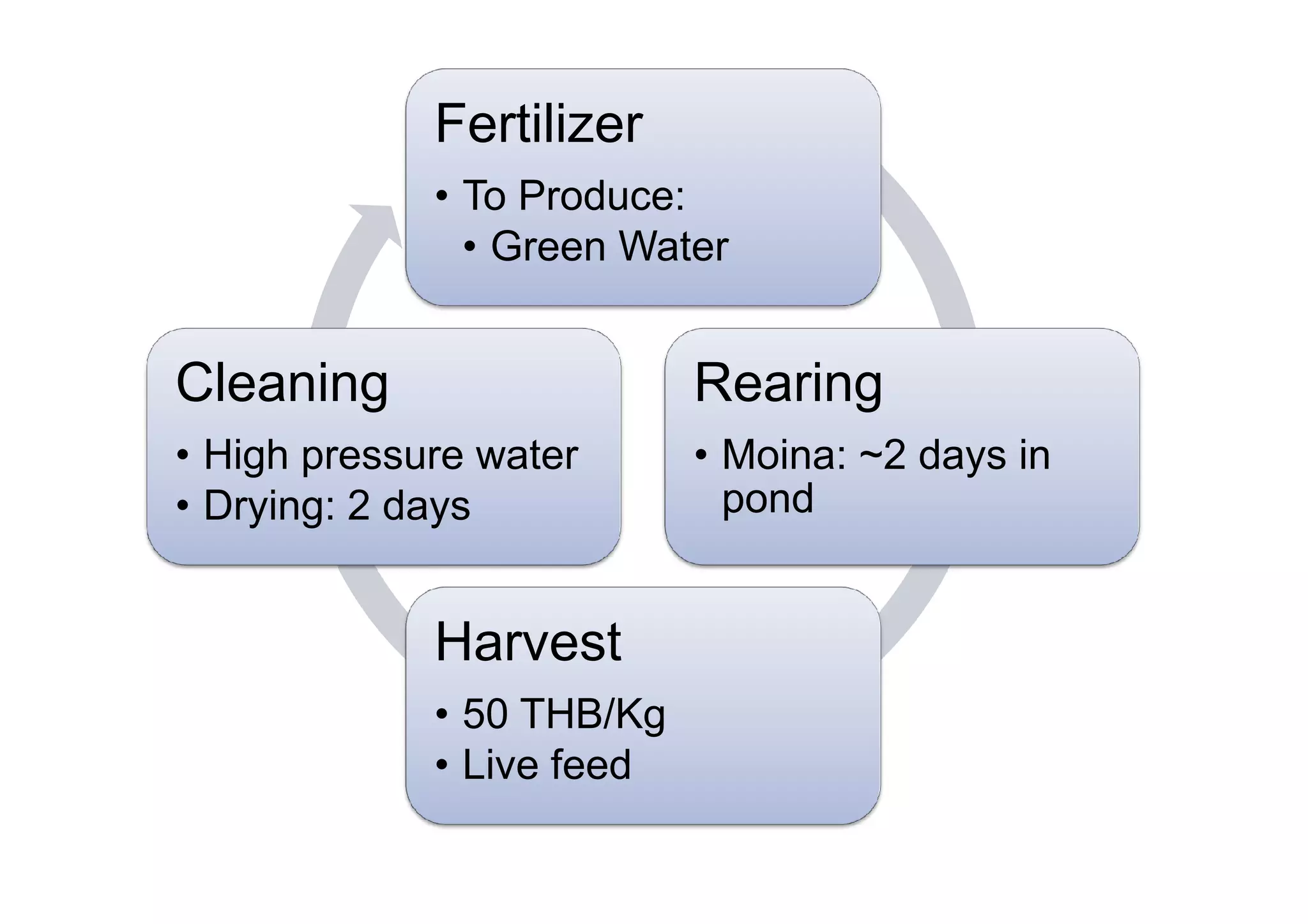 Moina Culture-pdf.pdf