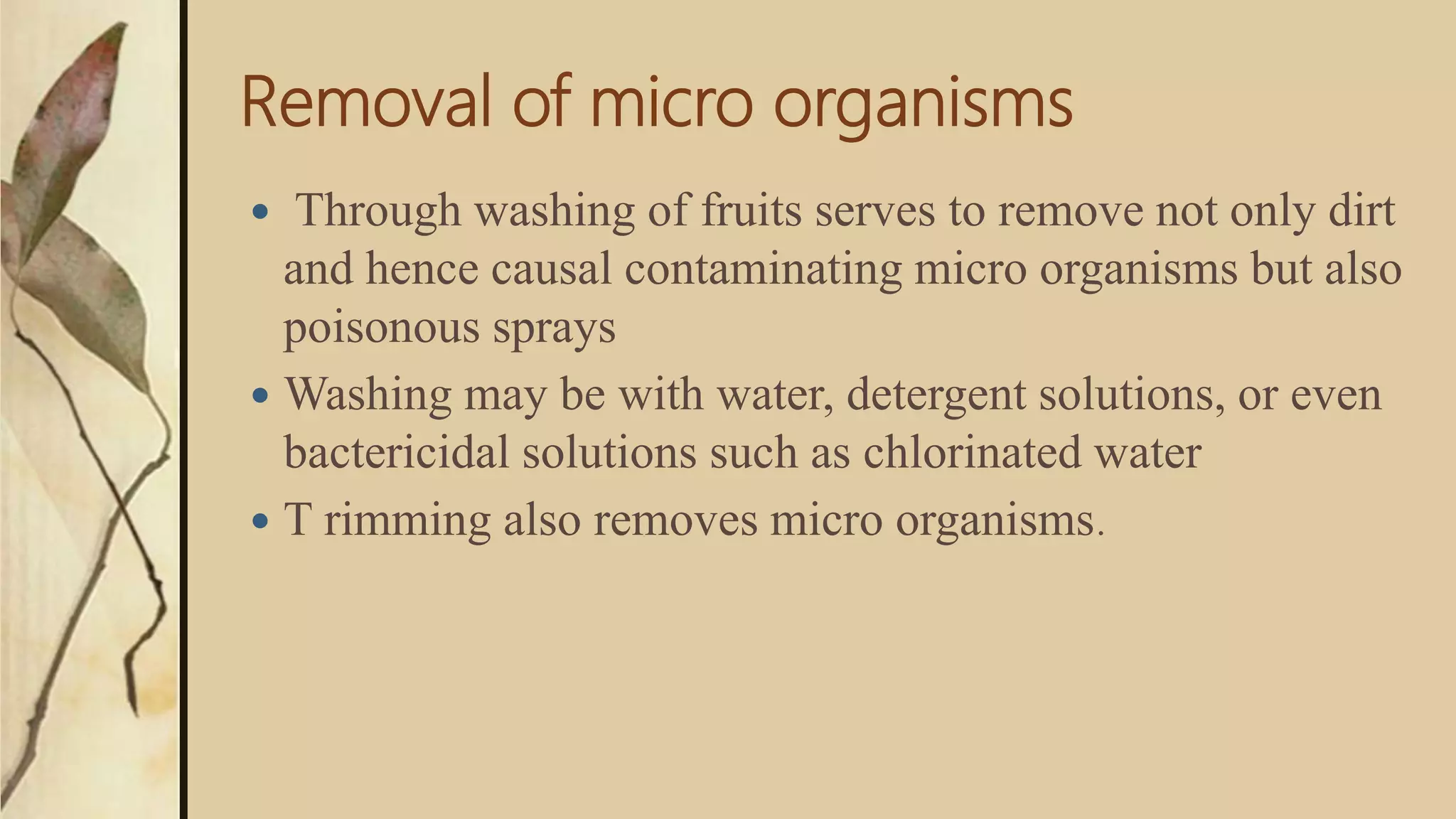 Micro organisms in fruits and veg | PPTX