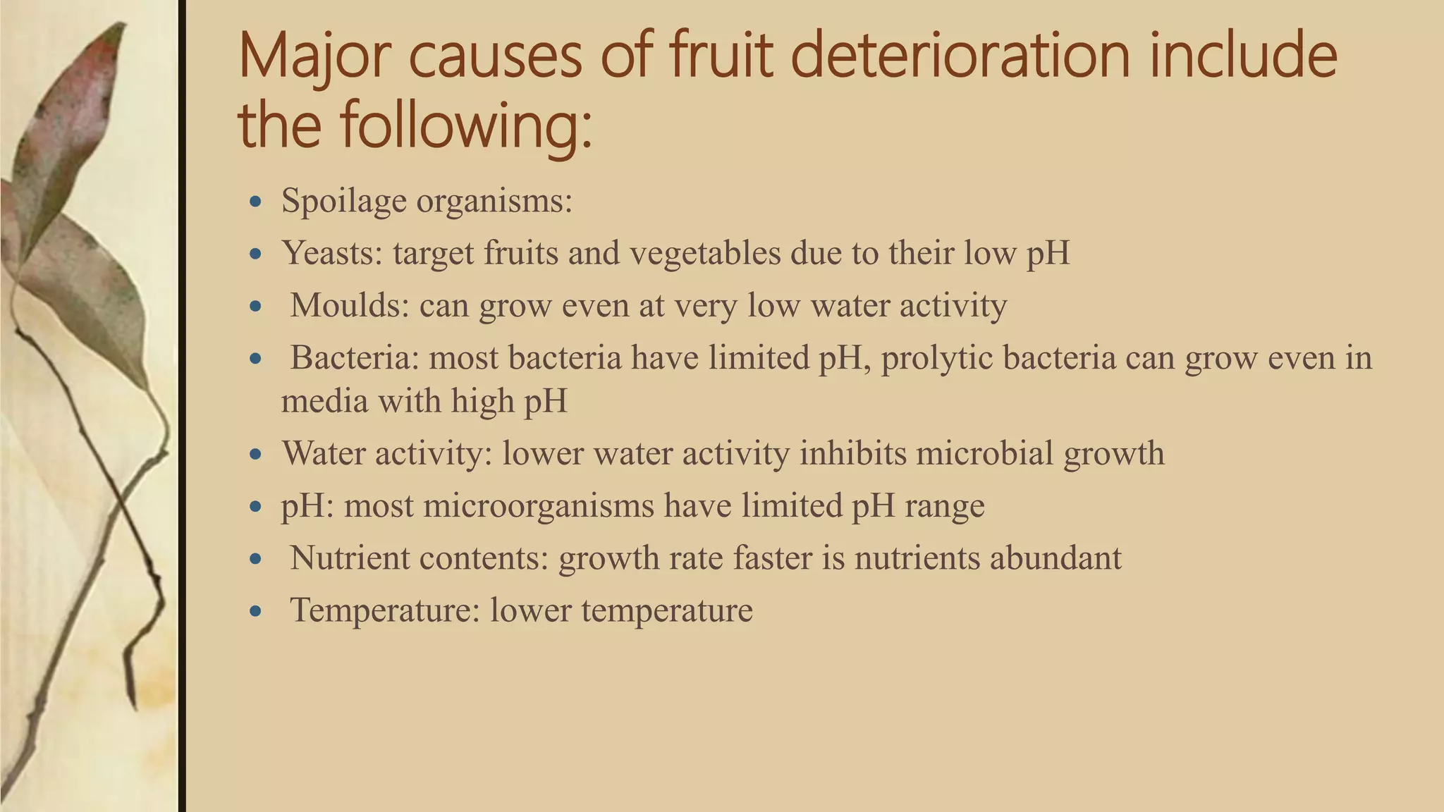 Micro organisms in fruits and veg | PPTX
