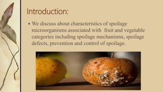 Micro organisms in fruits and veg | PPTX