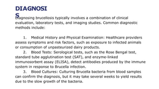 Moin Hyder A presentation on Brucellosis .pptx