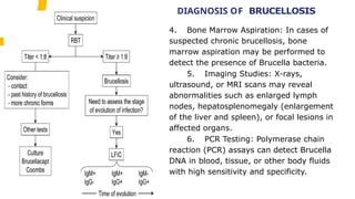 Moin Hyder A presentation on Brucellosis .pptx