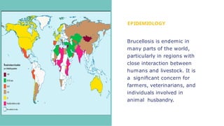 Moin Hyder A presentation on Brucellosis .pptx