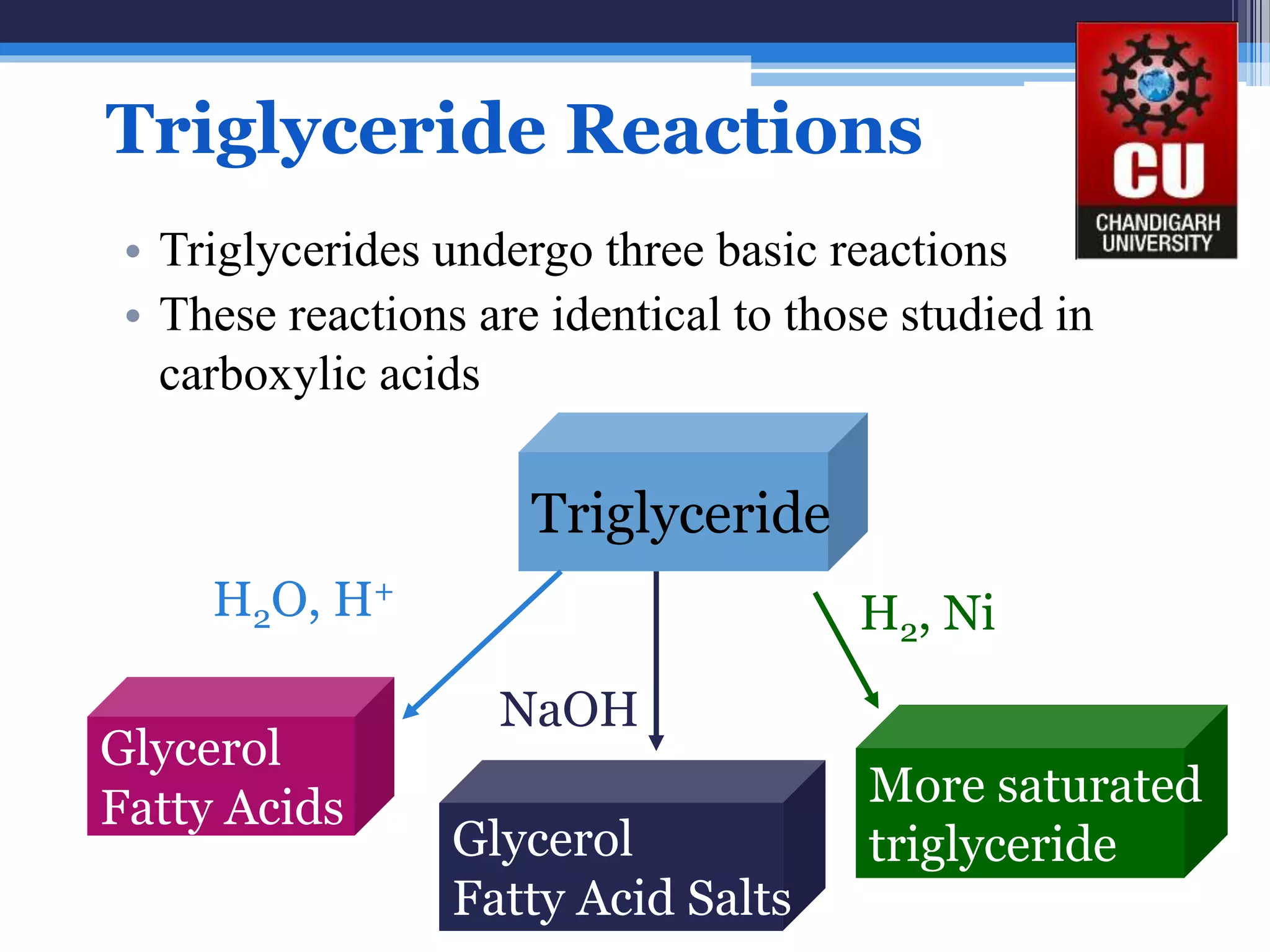 TRIGLYCERIDES | PPTX | Chemistry | Science