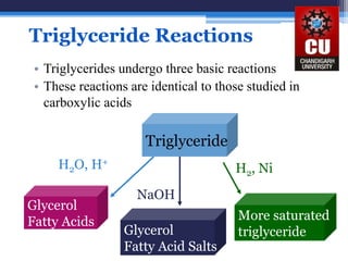 TRIGLYCERIDES | PPTX