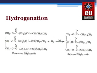 TRIGLYCERIDES | PPTX