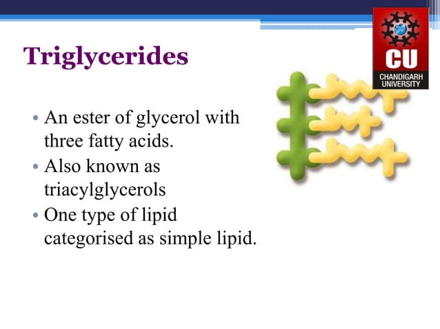 TRIGLYCERIDES | PPTX | Chemistry | Science