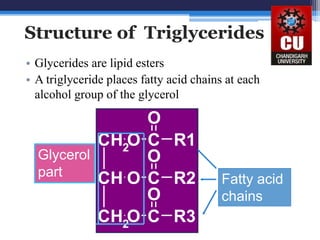 TRIGLYCERIDES | PPTX